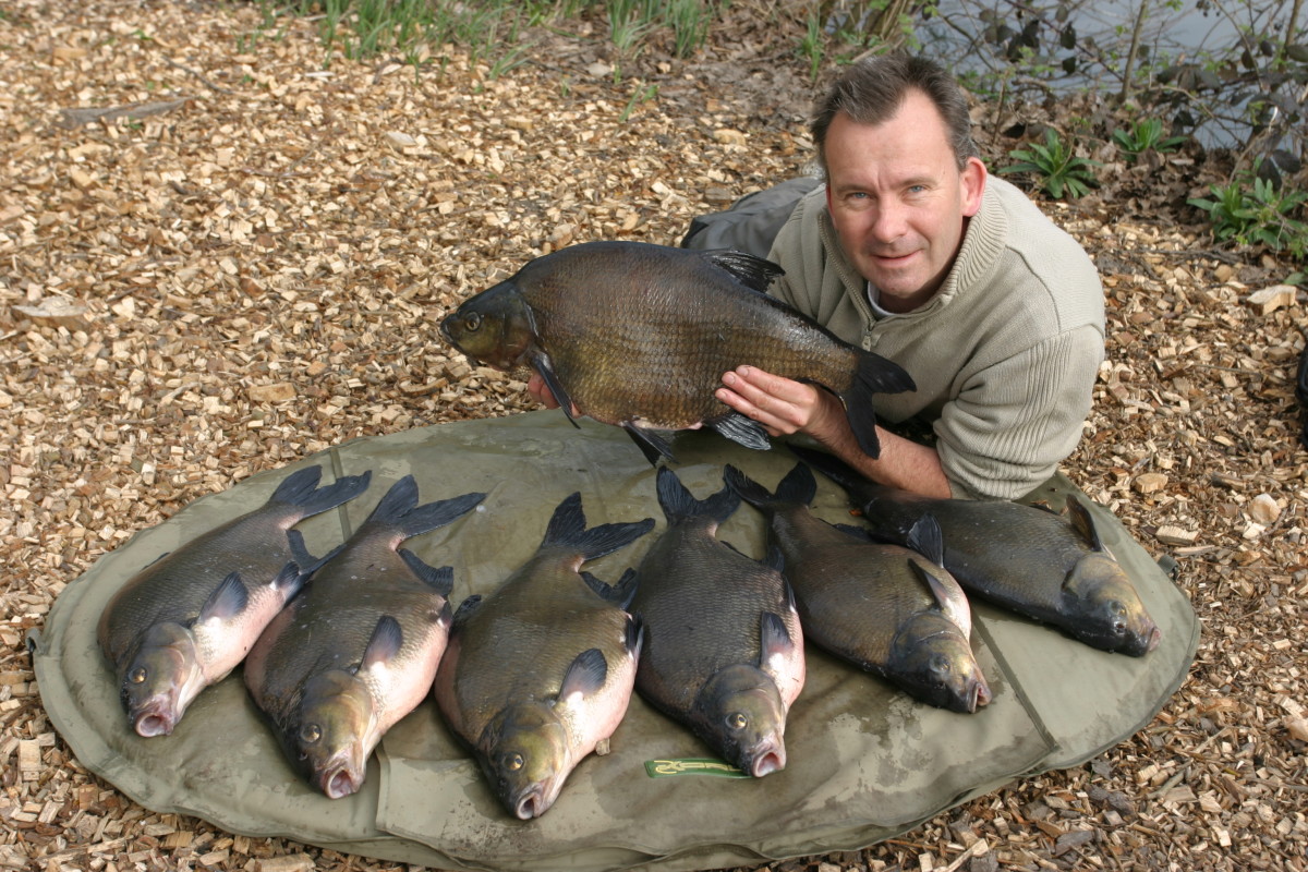 Steckbrief Brassen: Wo findet und wie fängt man ihn? - BLINKER
