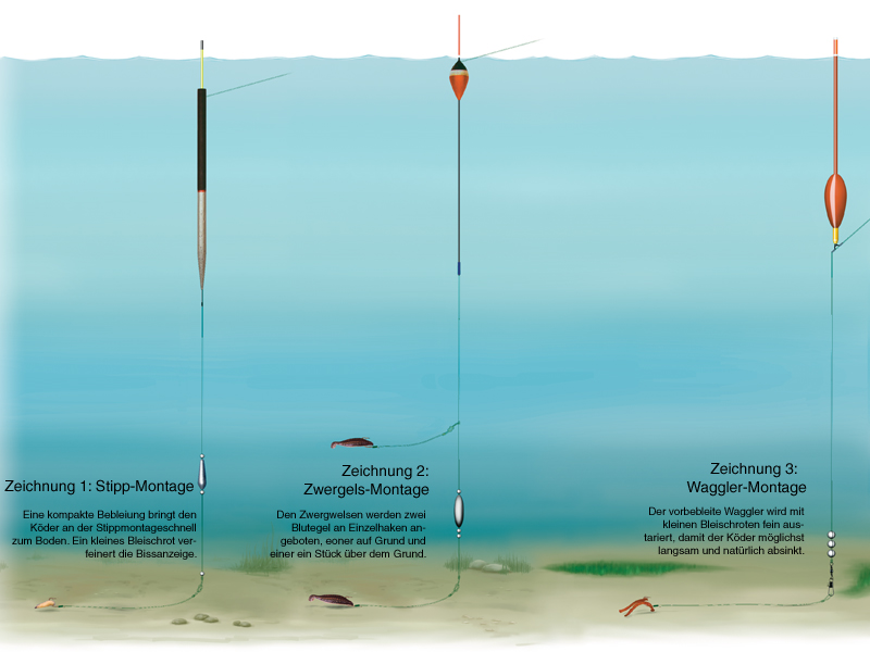In die Boote - fertig - los - BLINKER