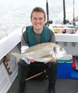 Doraden-Rekord in Irland - BLINKER