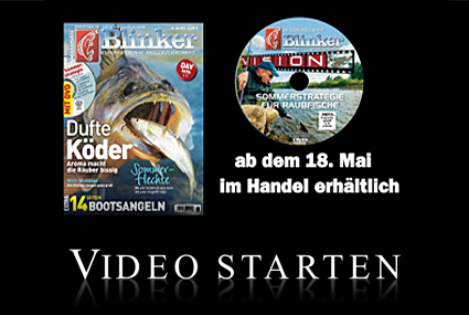 DVD-Vorschau der BLINKER-Ausgabe Juni 06 - BLINKER