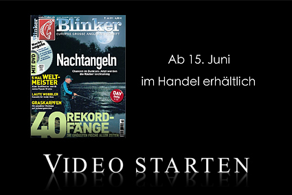 DVD-Vorschau der BLINKER-Ausgabe Juli 07 - BLINKER