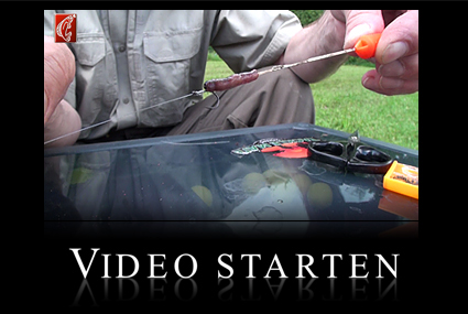 Praxis-Tipp: Der Banded Worm - BLINKER