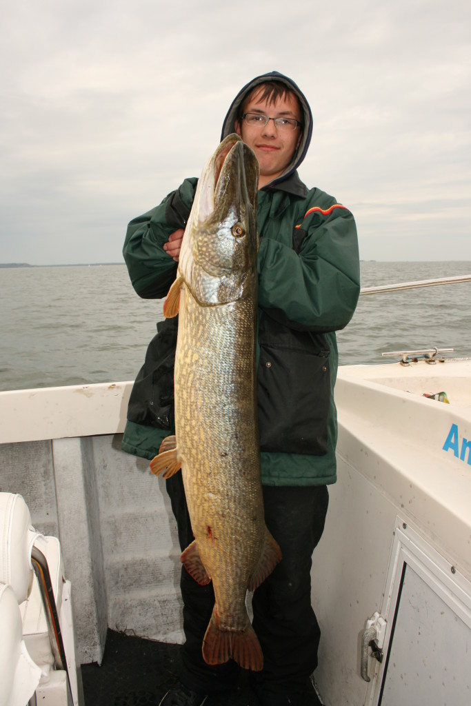 Jungangler fängt Boddengigant - BLINKER