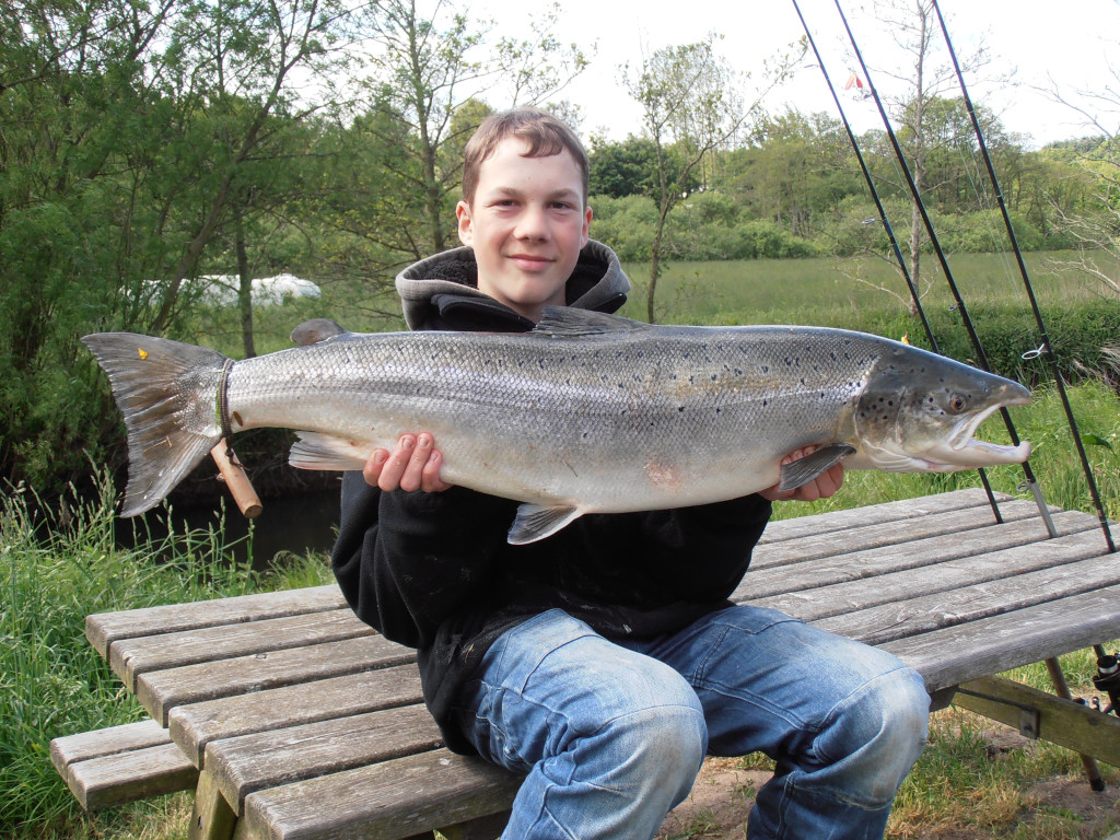 Jungangler fängt Rekordlachs - BLINKER
