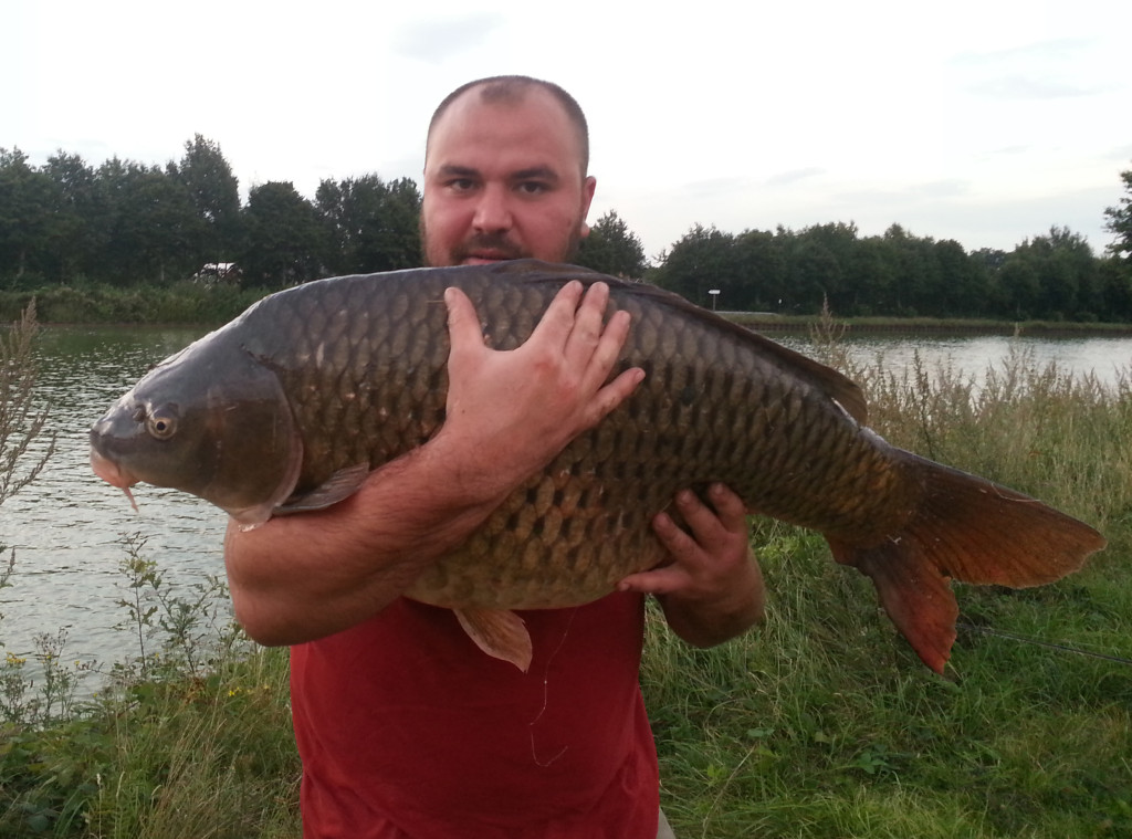 Gewichtige Überraschung beim Jiggen - BLINKER