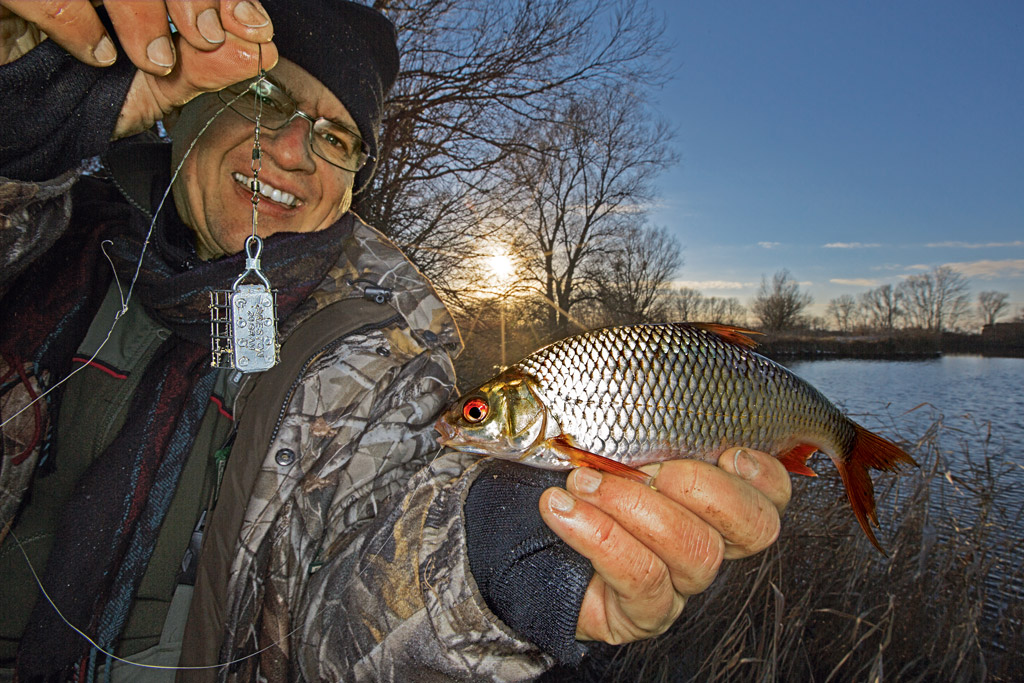 Rotaugenangeln im Winter - 4 Köder die fangen!