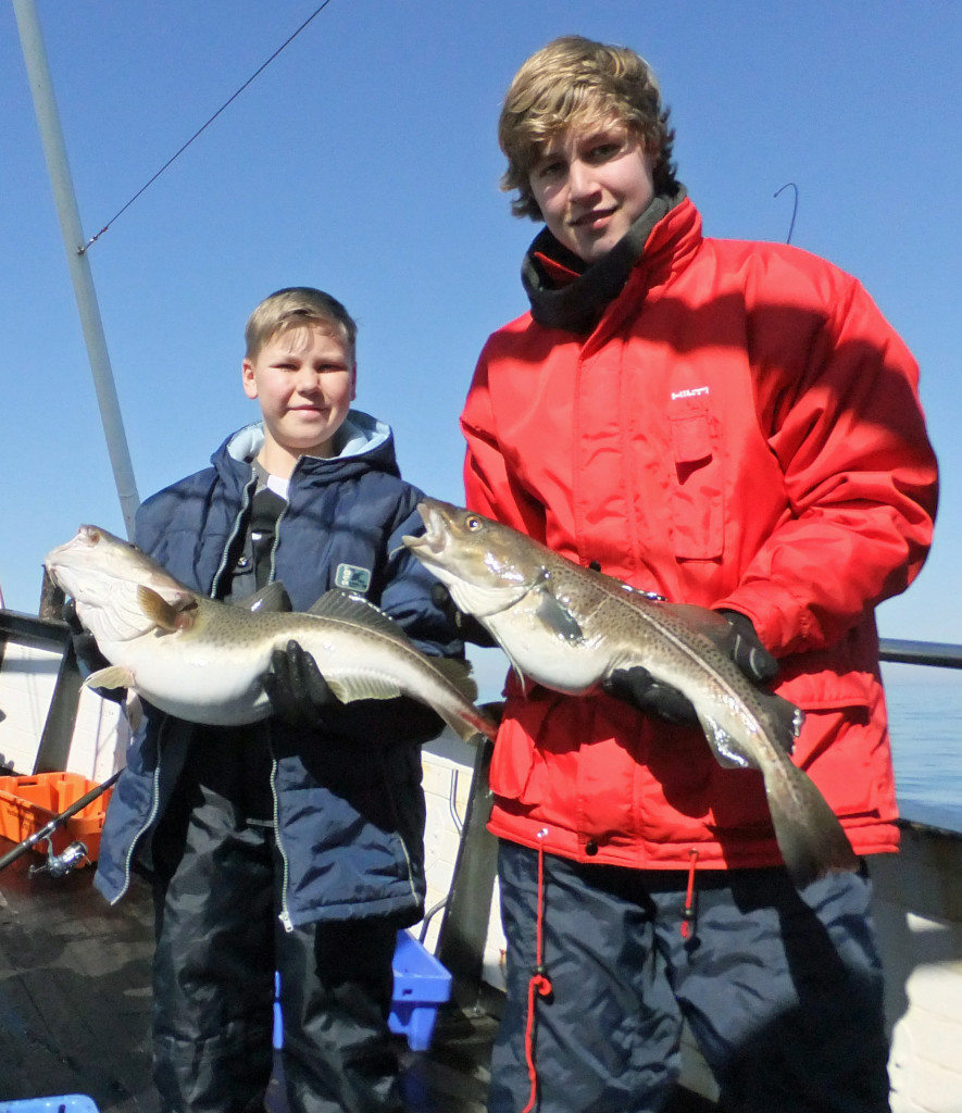 Kalte Dorsche für zwei Jungangler - BLINKER