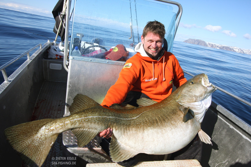 Neuer Dorsch-Weltrekord - BLINKER
