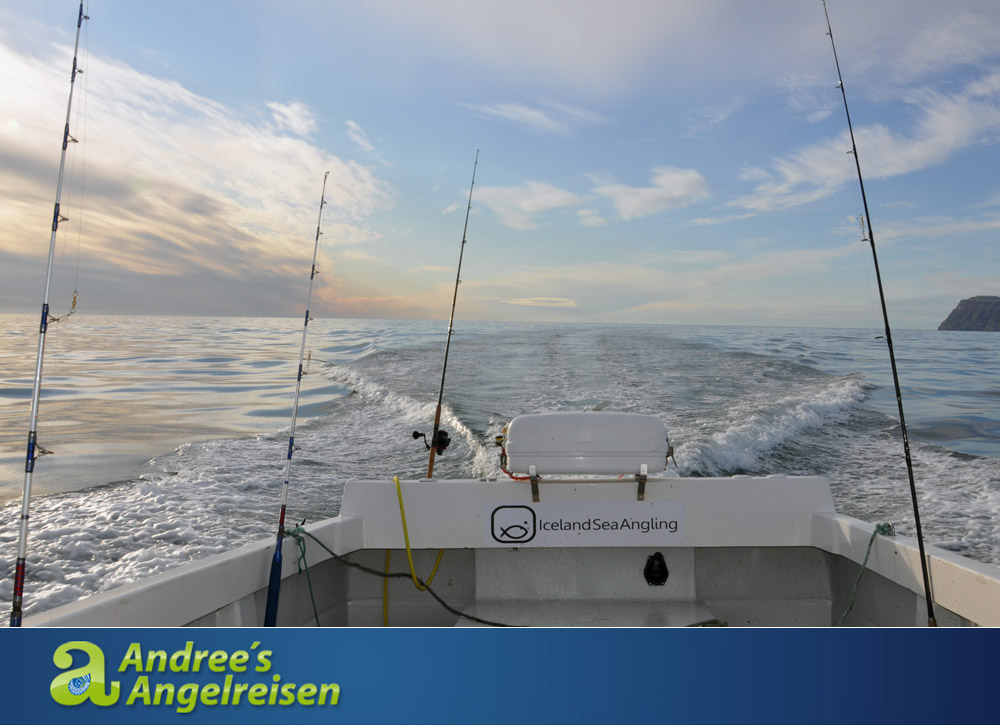 Island - das Meeresangler-Sommerparadies! - BLINKER