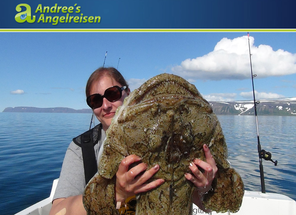 Island - das Meeresangler-Sommerparadies! - BLINKER