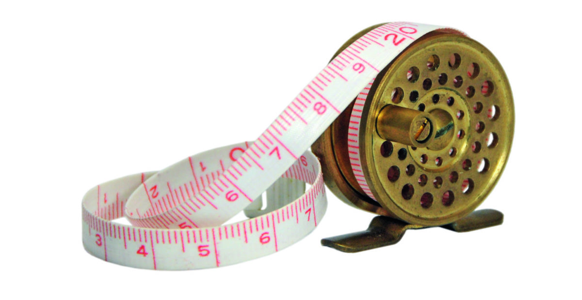 Dein Längen-Tipp für AngelWoche „Schätz doch mal“ 18/2025 - BLINKER