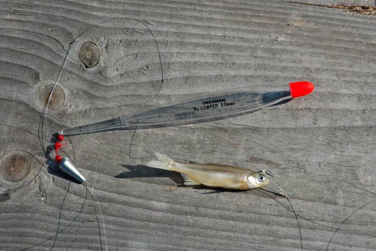 Posenangeln leicht gemacht – Tipps zum Angeln mit Pose - BLINKER