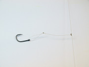 Drop-Shot: Alles, was Du über die Montage wissen musst! - BLINKER