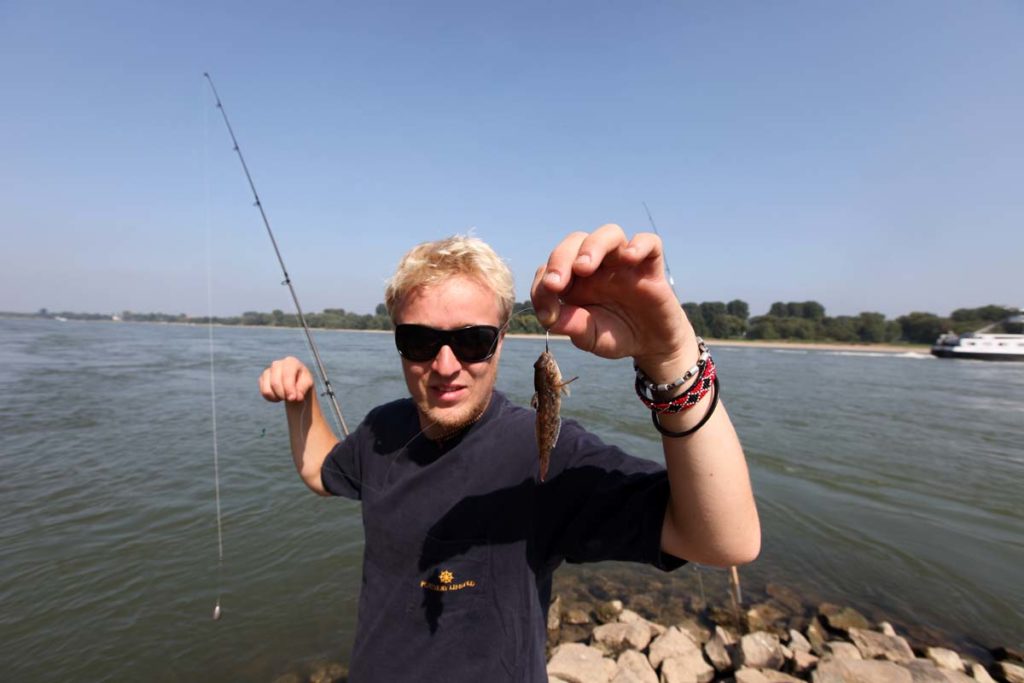 Angeln am Rhein: Fluch und Segen - BLINKER