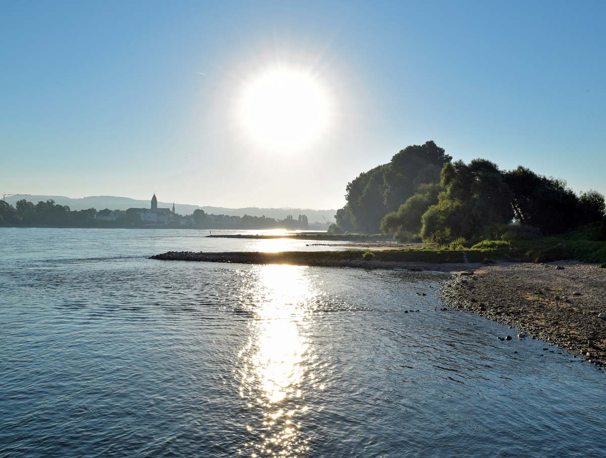 Angeln am Rhein: Fluch und Segen - BLINKER