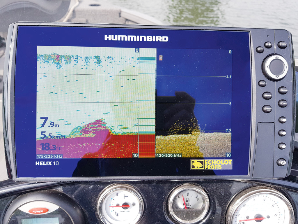 Angeln mit Echolot: So findet man Fische! - BLINKER