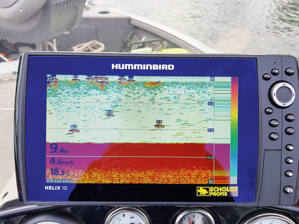 Angeln mit Echolot: So findet man Fische! - BLINKER