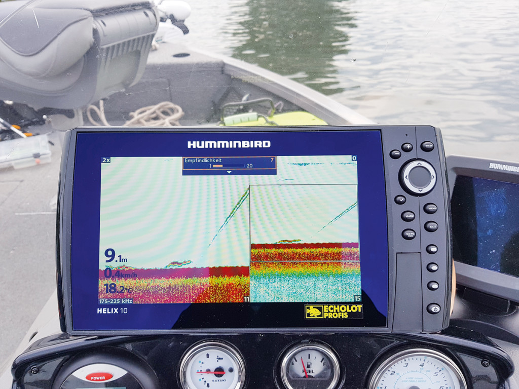 Angeln mit Echolot: So findet man Fische! - BLINKER