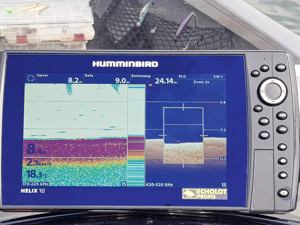 Angeln mit Echolot: So findet man Fische! - BLINKER