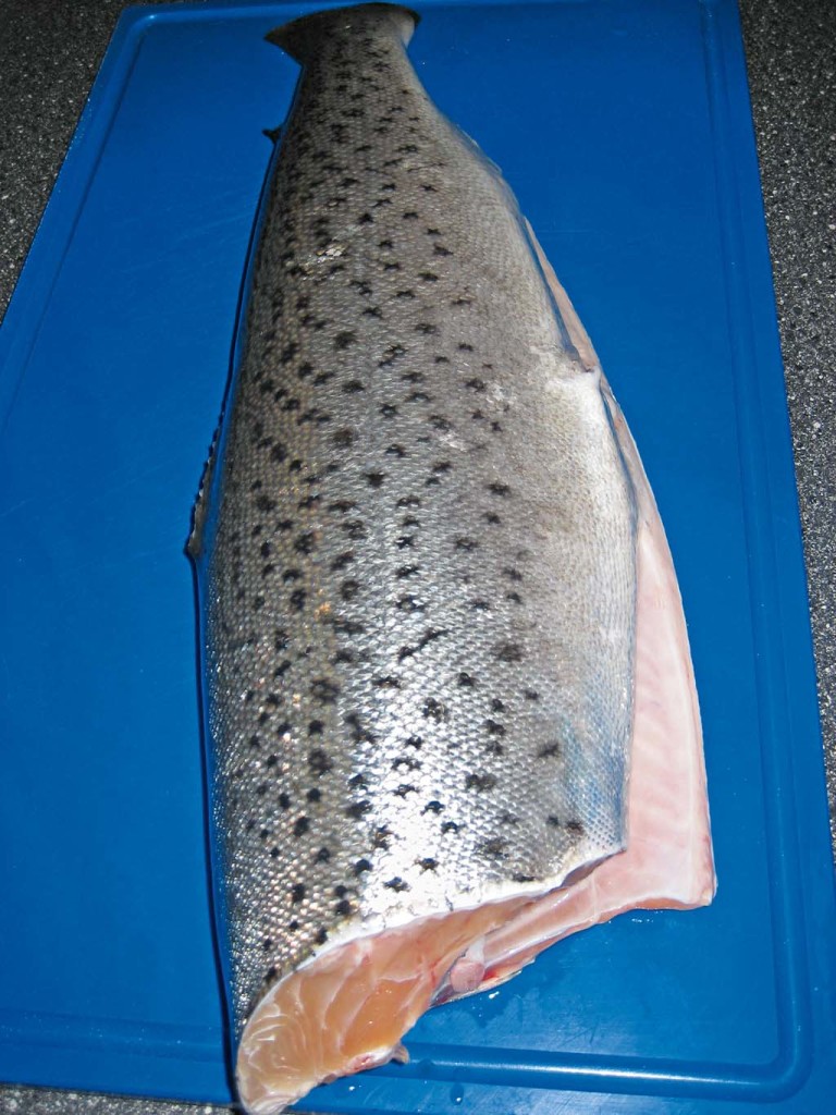 Fisch filetieren: Schnell und einfach zum perfekten Fischfilet - BLINKER