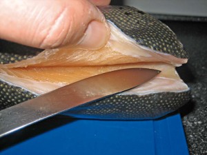 Fisch filetieren: Schnell und einfach zum perfekten Fischfilet - BLINKER