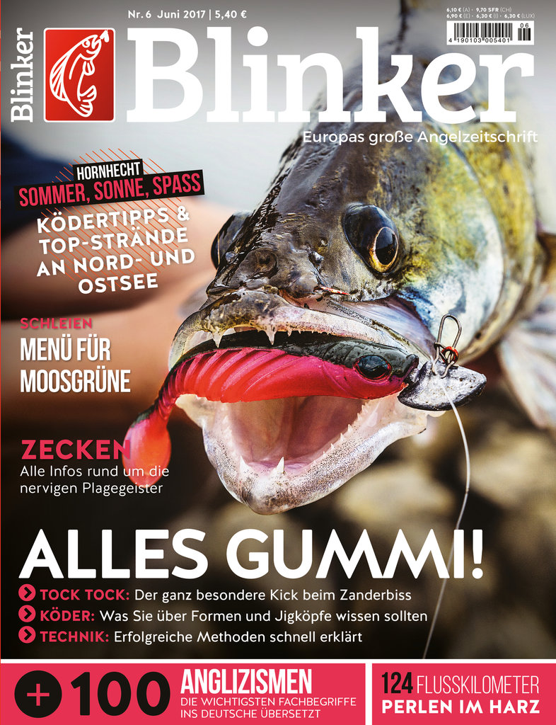 Blinker 06/2017 - BLINKER