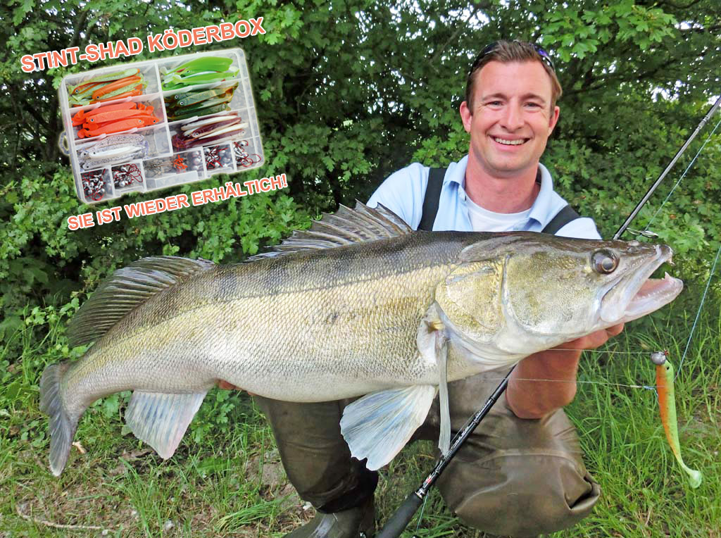 Gummifisch Stint-Shad: Prall gefüllte Köderbox zum Knaller-Preis! - BLINKER