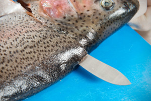 Forelle filetieren: In 10 Schritten zum perfekten Filet - BLINKER