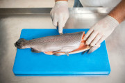 Forelle filetieren: In 10 Schritten zum perfekten Filet - BLINKER
