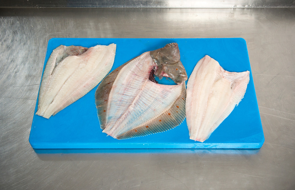 Plattfisch filetieren - So gelingt der richtige Schnitt - BLINKER