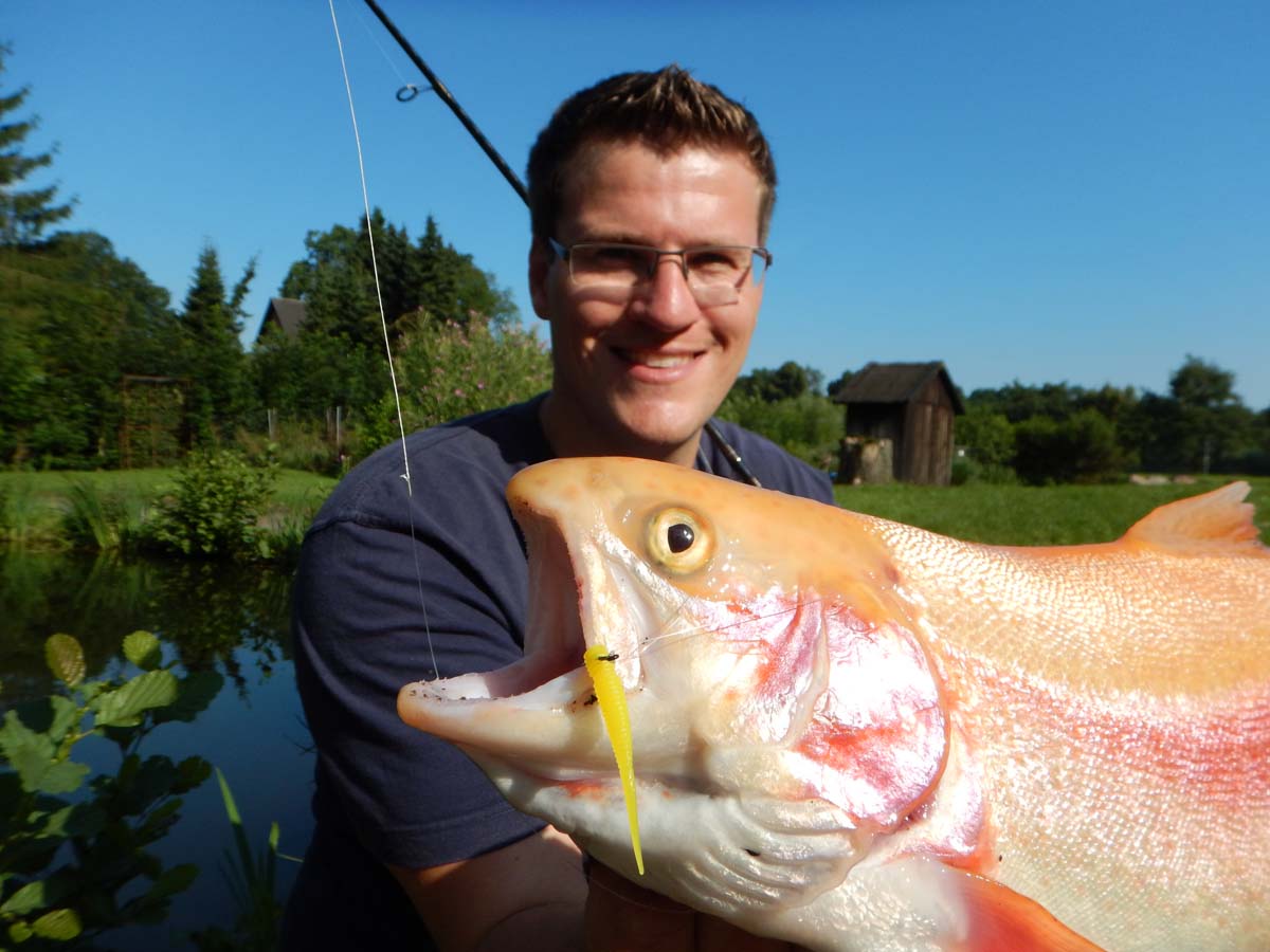 Goldforelle: Der besondere Schatz im Forellensee - BLINKER