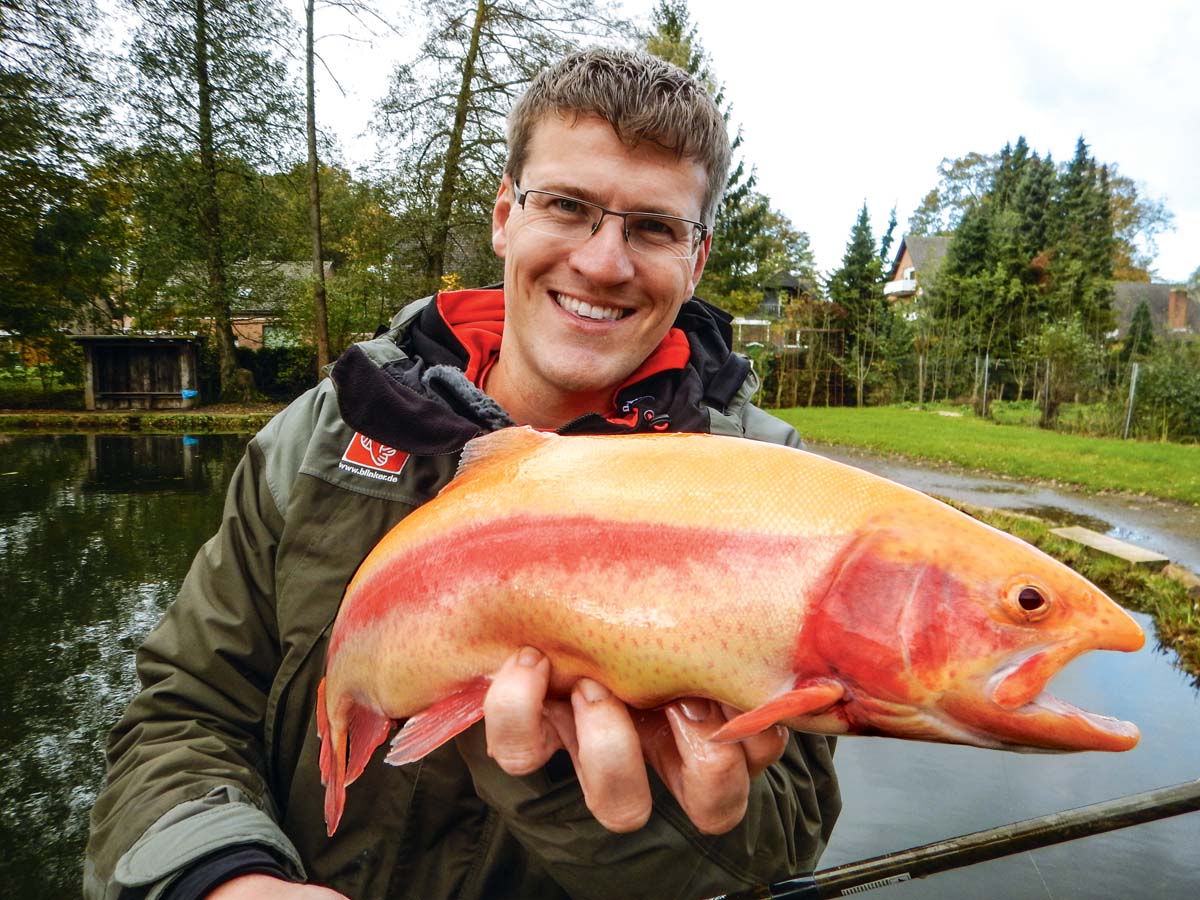 Goldforelle: Der besondere Schatz im Forellensee - BLINKER