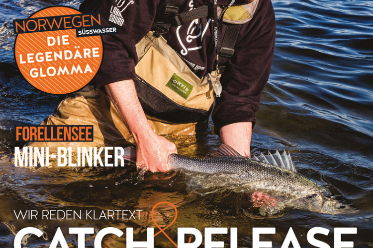 Alles rund ums Angeln – BLINKER