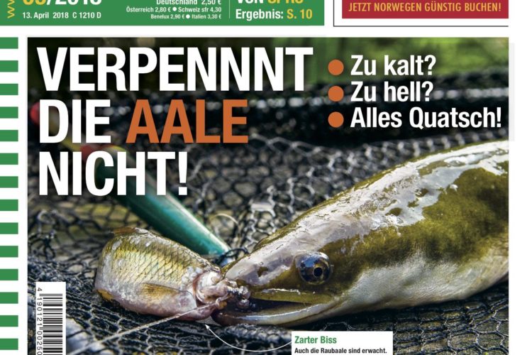 Alles rund ums Angeln – BLINKER