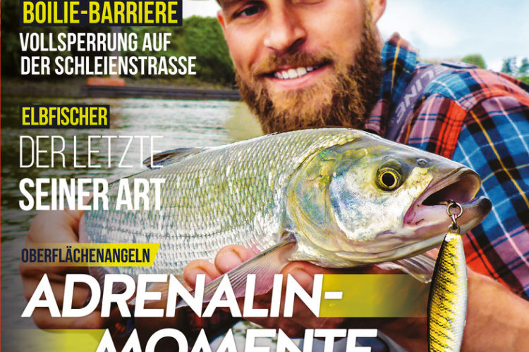 Alles rund ums Angeln – BLINKER