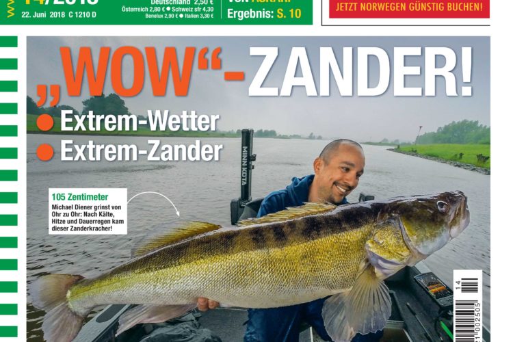 Alles rund ums Angeln – BLINKER