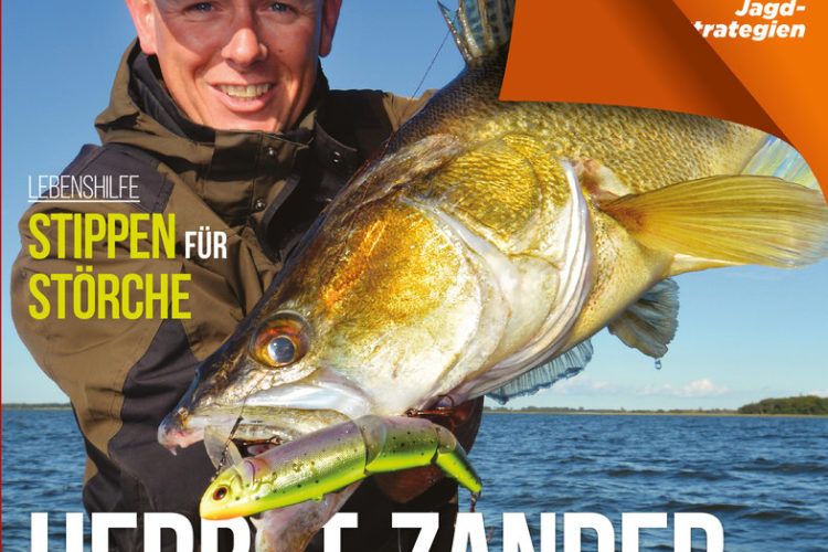 Alles rund ums Angeln – BLINKER