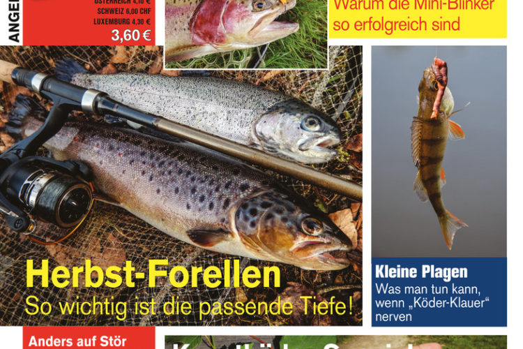 Alles rund ums Angeln – BLINKER