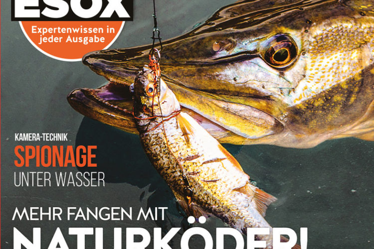 Alles rund ums Angeln – BLINKER