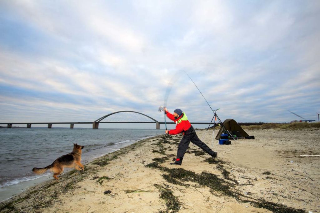 Angeln auf Fehmarn: Kleine Insel, viele Fische - BLINKER