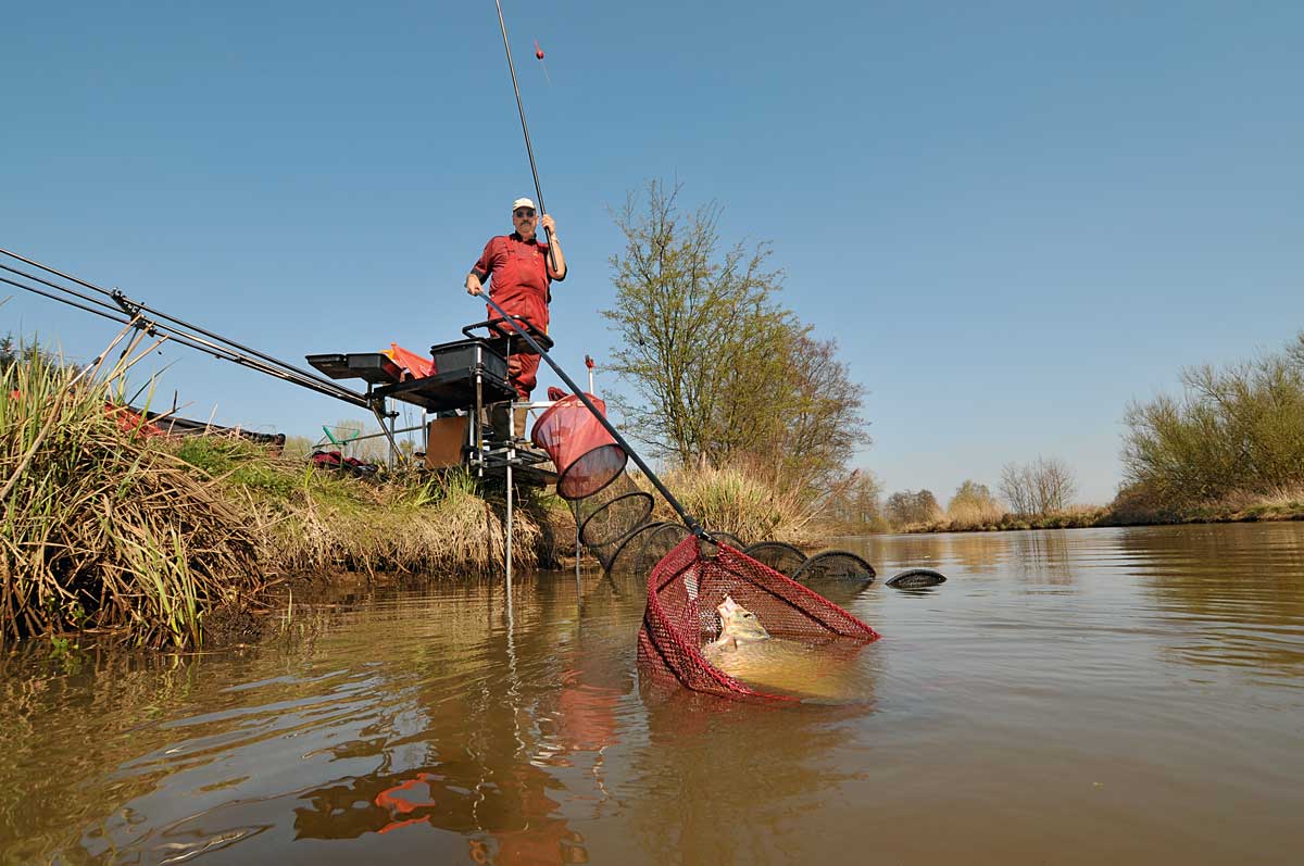 Fehler beim Stippangeln: So vermeidet Ihr sie! - BLINKER