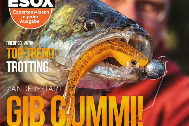 Alles rund ums Angeln – BLINKER