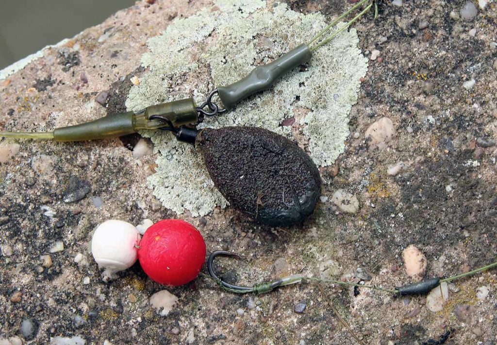 Karpfenblei: Welches ist effektiv und bringt mehr Fisch? - BLINKER