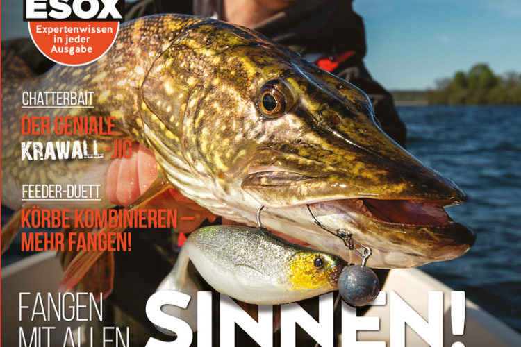 Alles rund ums Angeln – BLINKER