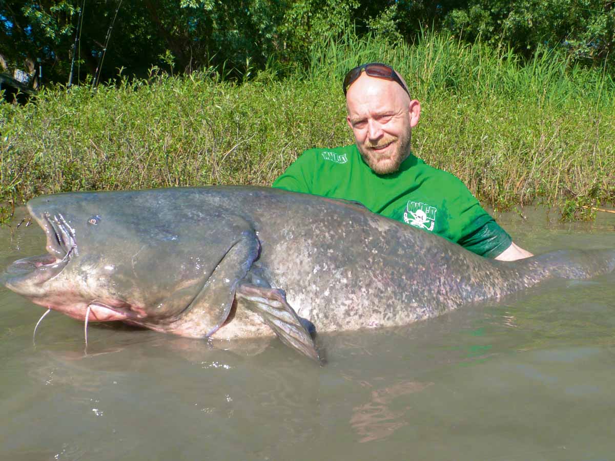 Waller-Workshop mit der DAM – für BLINKER-Abonnenten kostenlos - BLINKER