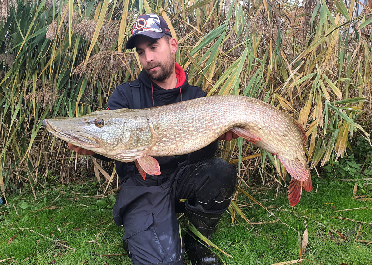 Mr. Pike-Team mit Top-Platzierung bei European Pike Masters 2021 - BLINKER