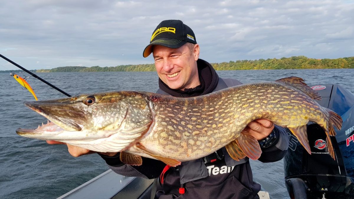 World Predator Classic 2022: Livestream mit Jan Pusch! - BLINKER