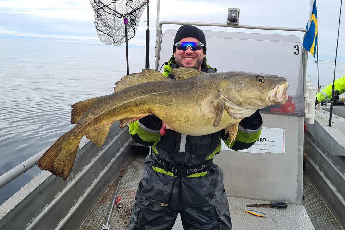 Angeln auf Hitra und Frøya: Neuer Katalog für den Urlaub - BLINKER