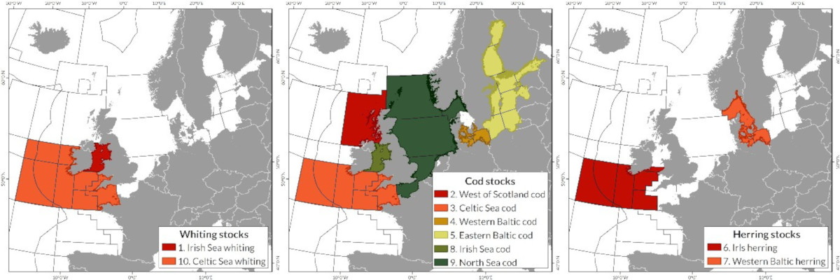 25 Fischbestände im Nordatlantik könnten verschwinden - BLINKER