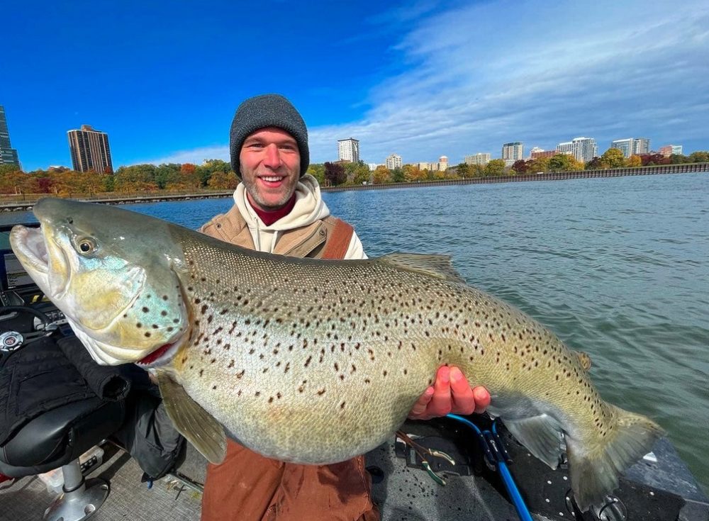 Video: Angler fängt riesige Bachforellen in Serie - BLINKER
